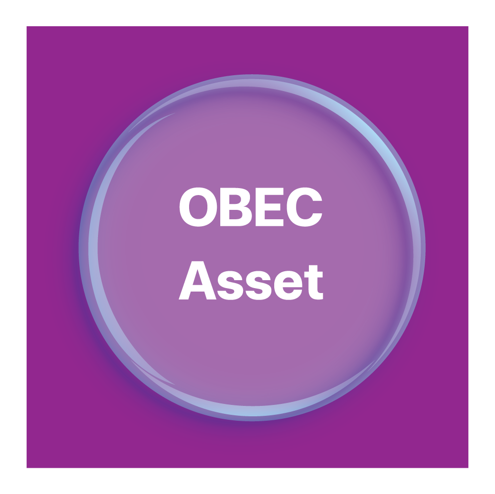 สำนักงานเขตพื้นที่การศึกษาประถมศึกษายะลา เขต 2 Yala Primary Educational Service Area Office 2